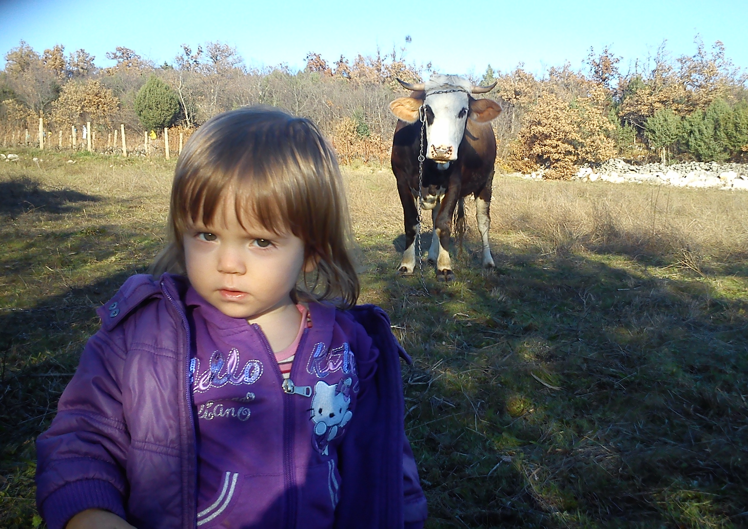 What should children learn in schools about cow’s milk? | Mom The Muse